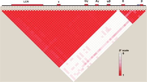 Locations And Linkage Disequilibrium Ld Map Structure Of 56 Snps In