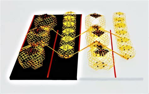 Breaking Fixed Patterns 7 Bos Fine Art