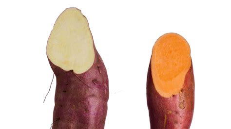 Download Vibrant Yellow Sweet Potato Wallpaper