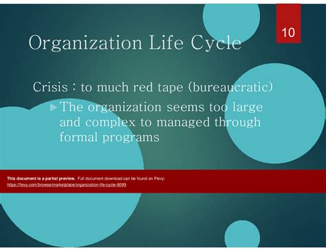 PPT Organization Life Cycle 18 Slide PPT PowerPoint Presentation Flevy