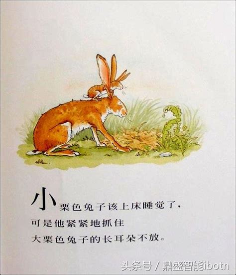 母親節特輯｜猜猜我有多愛你 每日頭條