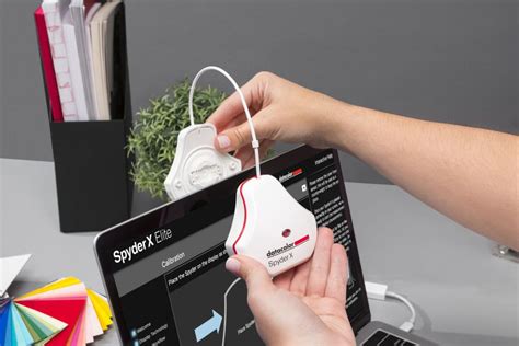 How To Calibrate Your Monitor And Why You Should Summerana