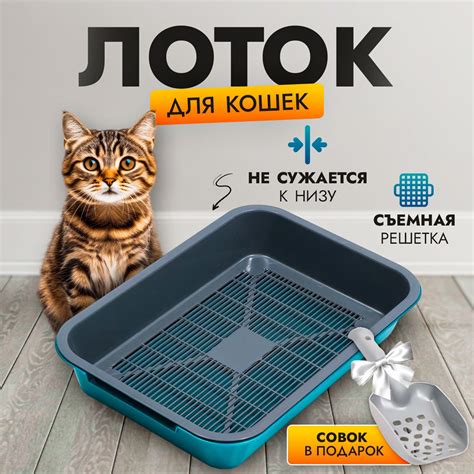 Лоток для кошек с бортом и сеткой кошачий туалет купить с доставкой