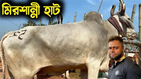 ২০০ বলদ গরু নিয়ে আসলেন মাহাবুব ভাই মিরশান্নী গরুর বাজার থেকে বলদ