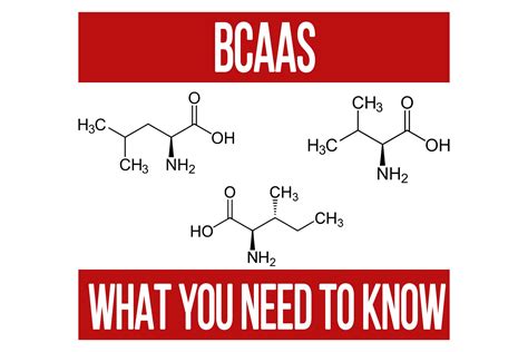 Bcaas Anabolic And Anti Catabolic N1 Training