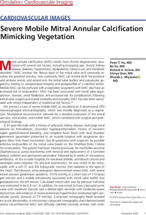 Severe Mobile Mitral Annular Calcification Mimicking Vegetation