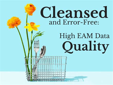 Cleansed And Error Free High EAM Data Quality NRX AssetHub