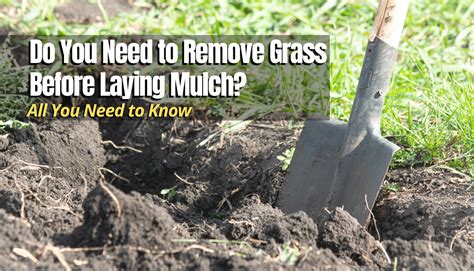 Do You Need To Remove Grass Before Laying Mulch The Backyard Pros