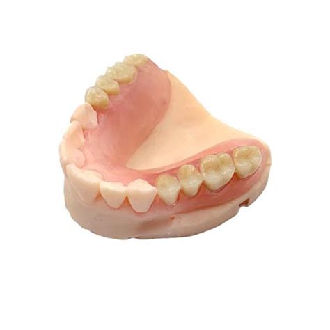 Demo Model Flexible Partial Denture Costech Dental Lab