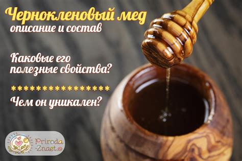 Чернокленовый мед: полезные свойства и уникальный состав