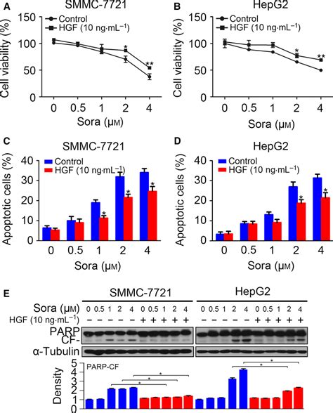 Hepatocyte Growth Factor Induces Sorafenib Resistance In Hcc Cells A