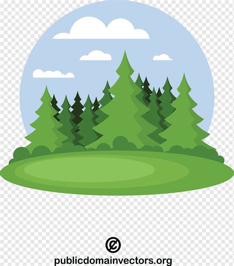 Forest Glade Png Pngwing