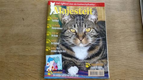 Cattery Dutch Pixiebob