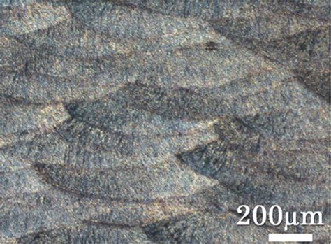 Microstructure Of The As Built Specimen Fabricated Using The 1000 W