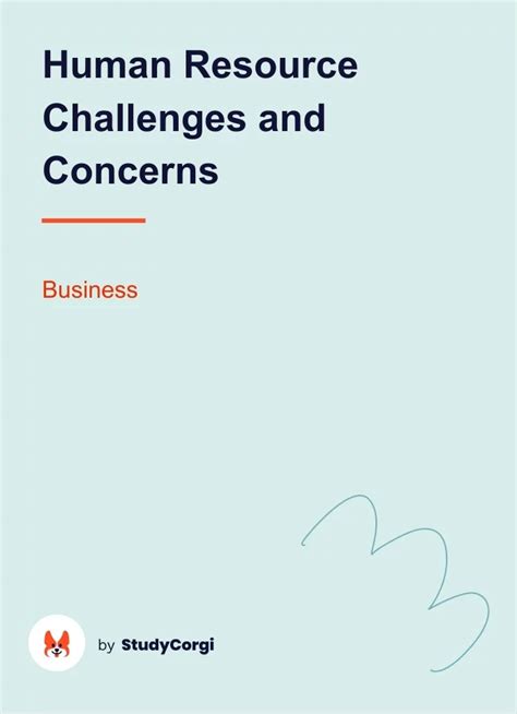 Human Resource Challenges And Concerns Free Essay Example