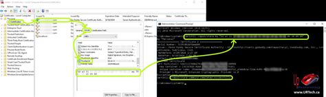 SOLVED New Certificate Not Appearing In IIS Bindings Up Running