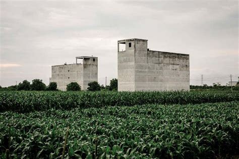 Nested Interests A Bespoke Farm For Edible Bird Nests New Scientist