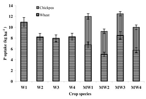 Nitrogen Uptake By Sole Wheat And Wheat Chickpea Association