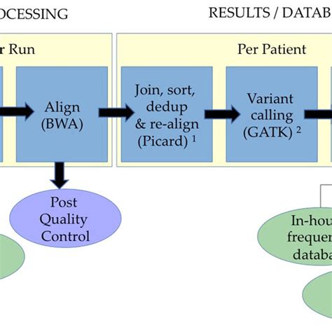 Data Interpretation Pipeline Example Of Dna Seq Bioinformatics