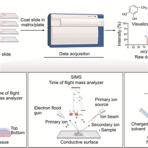 The Diagram Of Mass Spectrometry Imaging Msi Technique A General