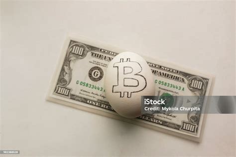흰색 계란 흰색 배경에 고립 된 달러 지폐에 암호화 통화 로고와 함께 흰색 계란에 Bitcoin 로고 0명에 대한 스톡 사진 및