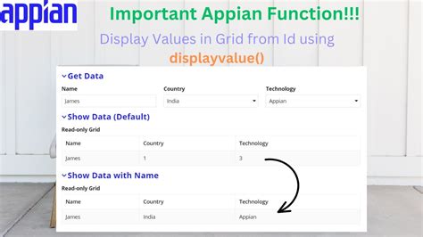 Important Appian Function To Return Name For The Ids Displayvalue Appian Tutorial For