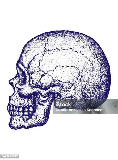 복고풍 스타일의 두개골 도트워크 문신 프로필 이미지 사실적인 두개골 공포 무서움에 대한 스톡 벡터 아트 및 기타 이미지 공포
