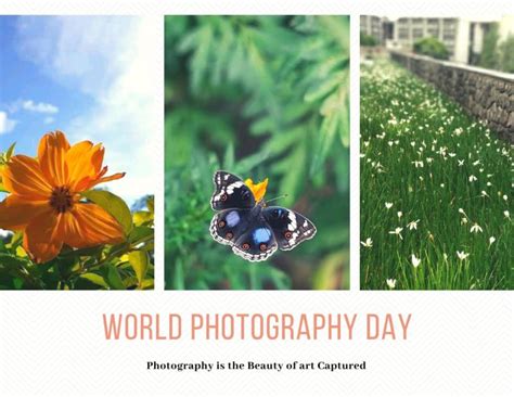 Nandini Goyal On Linkedin Picso2020 Picso2020 Photographylovers