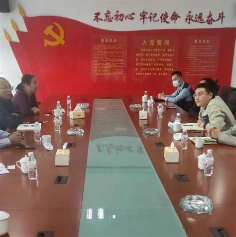 “决战四季度，大干一百天”④蔬菜建设农业