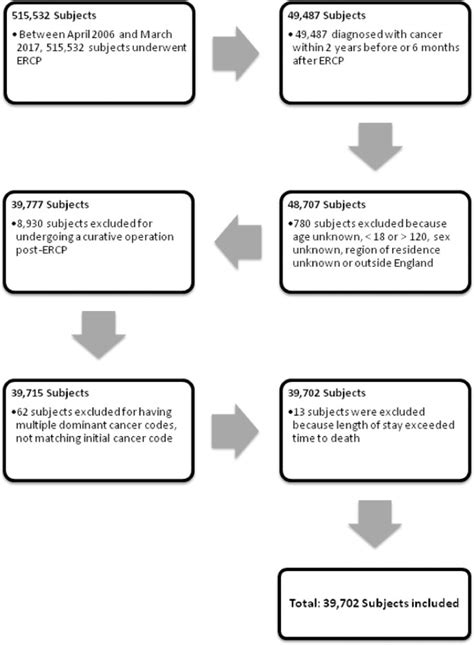 Ercp Procedure Bile Obstruction