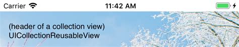 Ios CollectionView Header Content Under Status Bar Stack Overflow