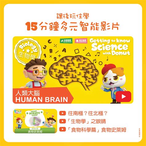 15分鐘學多元智能 Donut And Ah Meow Facebook