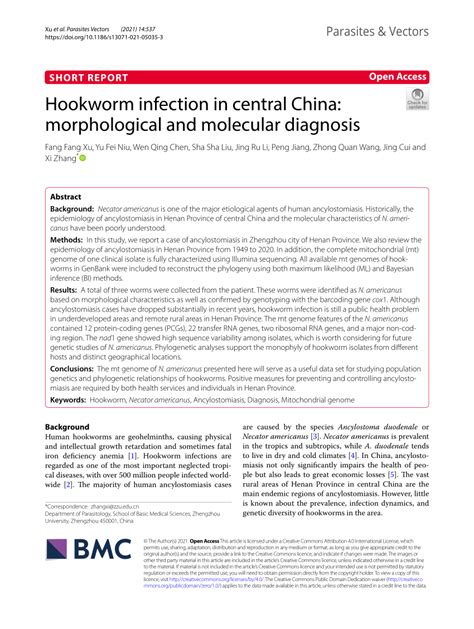 Pdf Hookworm Infection In Central China Morphological And Molecular