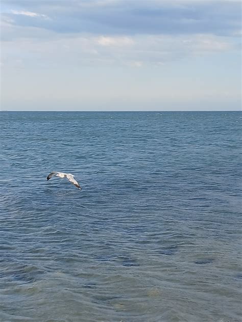 Indestructible Little Fucker Izzy B Hands Tumblr Blog Tumlook