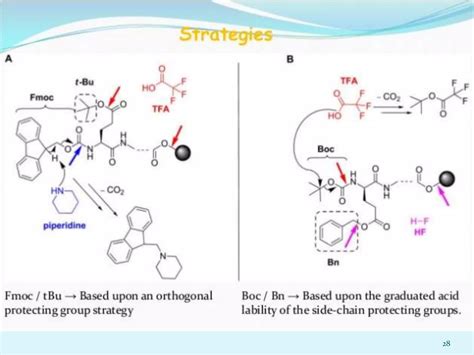 Spps And Side Reactions In Peptide Synthesis Pptx