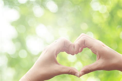 여성 손 심장 모양 자연 녹색 보케 태양 빛 플레어와 흐림 잎 추상적 인 배경 행복한 사랑과 자유 개념의 공간을 복사합니다