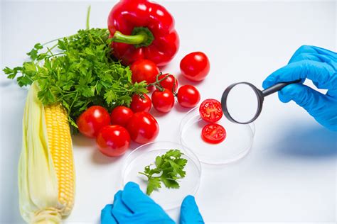 Physical And Chemical Properties Testing Lifeasible