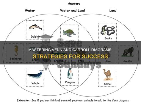Mastering Venn And Carroll Diagrams Strategies For Success Anteach