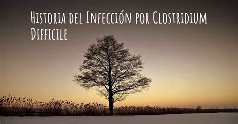 ¿cuál Es La Historia Del Infección Por Clostridium Difficile