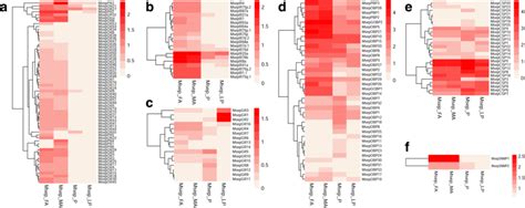 Expression Profiles Of Chemosensory Genes In M Separata A Ors B