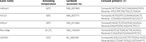 Primer Pairs Used To Amplify Pcr Products Download Table