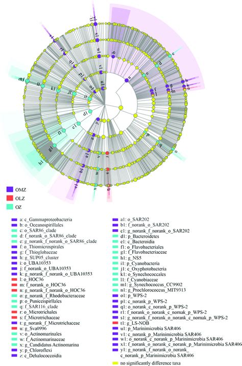 Taxonomic Cladogram Showing Distinctive Taxa In The Omz Olz And Oz