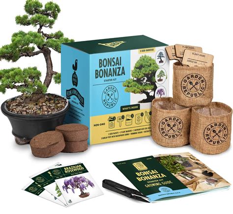 Best Plant Growing Kits For Thriving Indoor Gardens Ico Optics