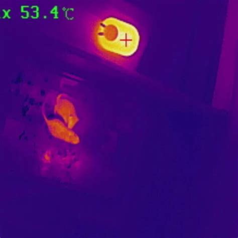 Mouse Object Detection Dataset And Pre Trained Model By Mel