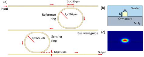 Cascaded Microrings Biosensors Fabricated On A Polymer Platform
