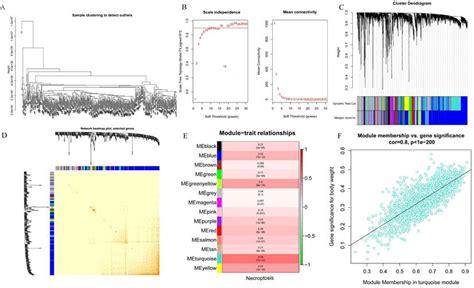 Identification And Validation Of Novel Signature Associated With Hepatocellular Carcinoma