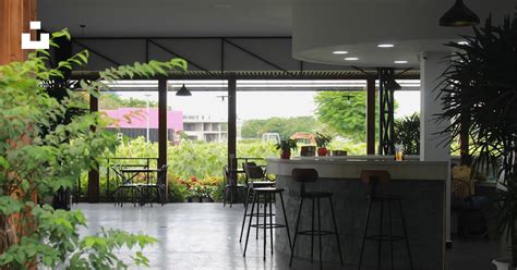 테이블과 의자와 식물이 있는 넓은 방 사진 Unsplash의 무료 식당 이미지