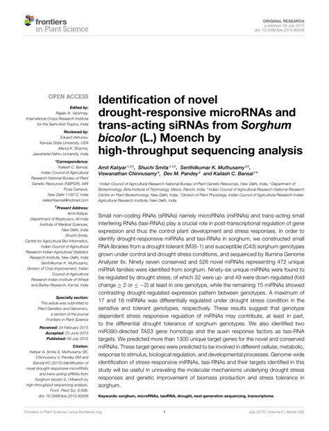 Pdf Identification Of Novel Drought Responsive Micrornas And Trans Acting Sirnas From Sorghum