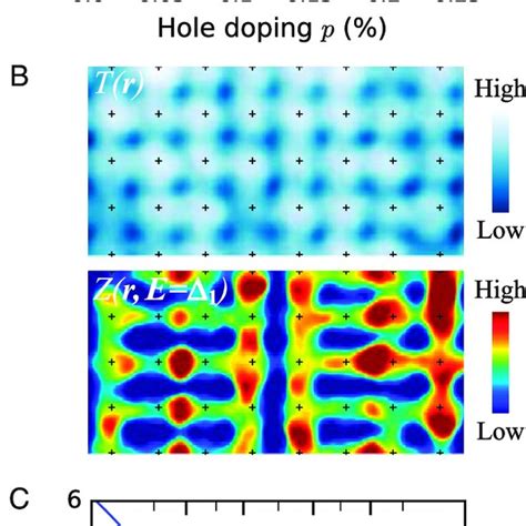 Broken Symmetry Phase Coexisting With Cuprate Superconductivity A