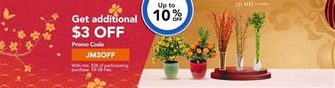 Shop Ji Mei Flower For Everyday Great Value Ntuc Fairprice
